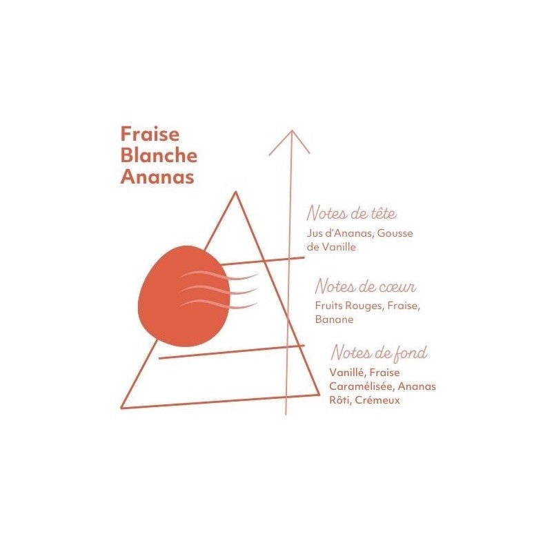 FRAISE BLANCHE ANANAS - 5,90 € - E-liquides aux Arômes Naturels